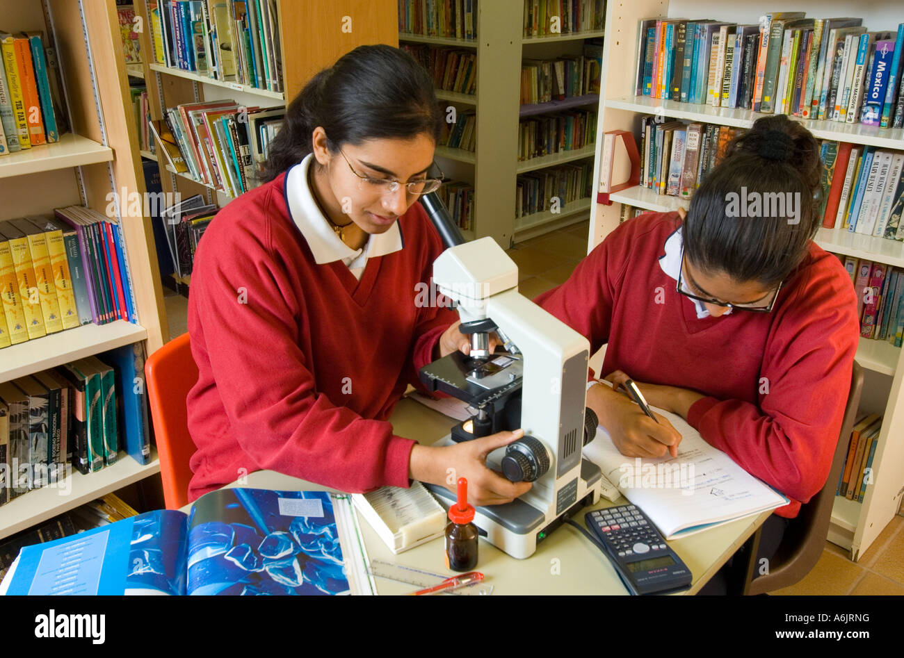 Ethnic asian teenage girl students 16-17 years working together using a ...