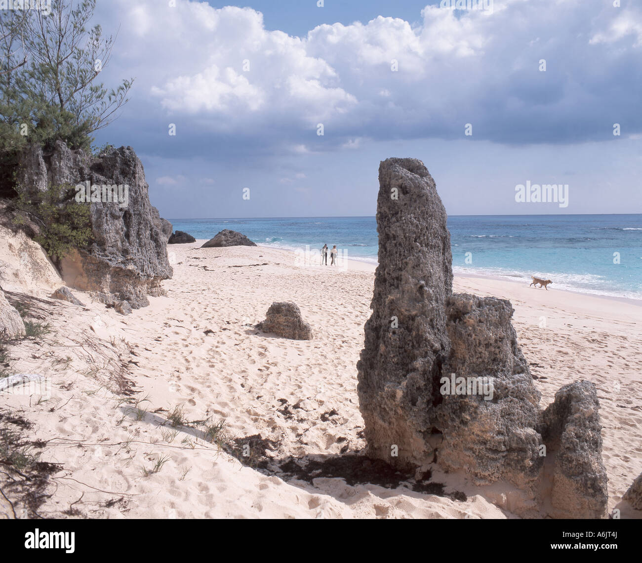 Warwick Long Bay, Warwick Parish, Bermuda Stock Photo - Alamy