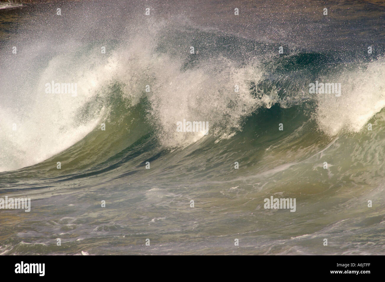 powerful breaking ocean wave Stock Photo - Alamy