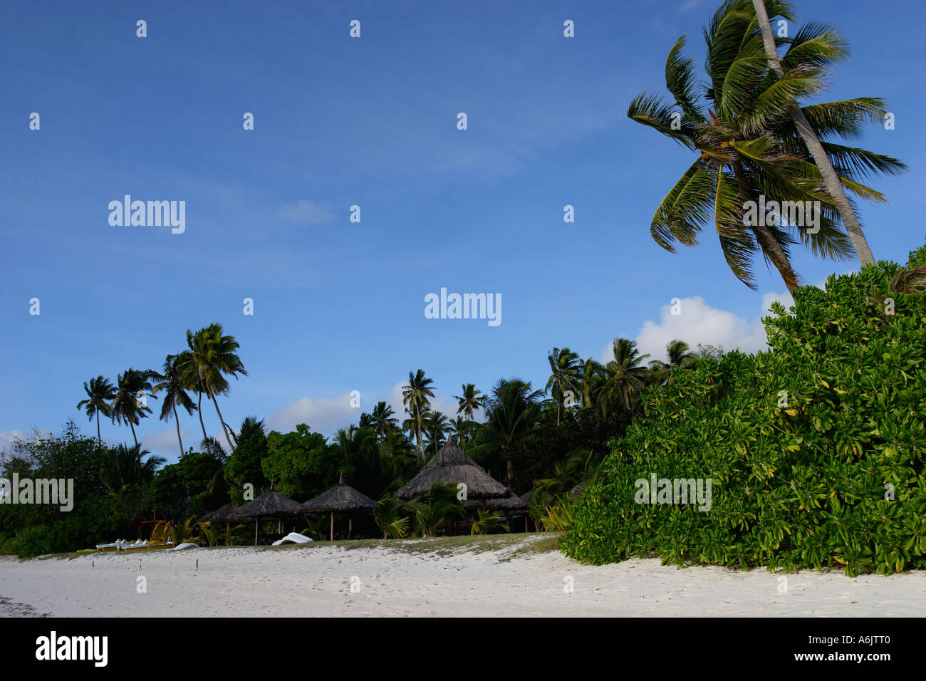 tropical beach with palm huts Stock Photo - Alamy