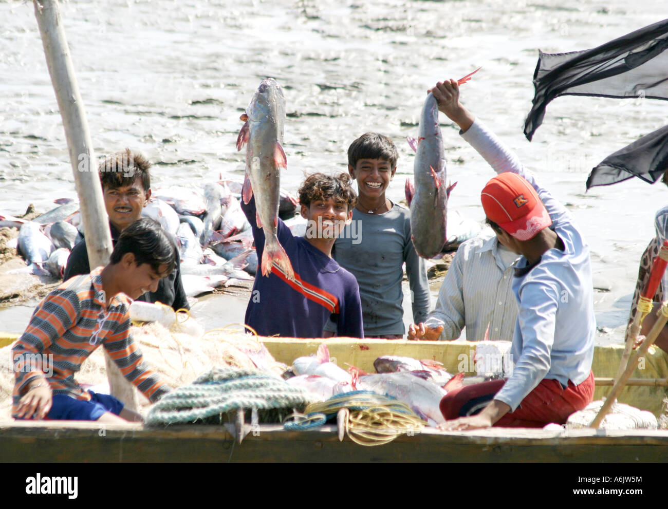 BOYS Sorting fish at Mandavi fishing Port in Gujarat,India Stock Photo ...