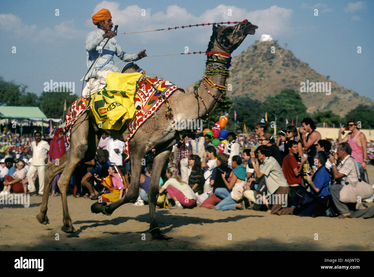 CAMEL RACES at the PUSHKAR CAMEL FAIR RAJASTHAN INDIA Stock Photo - Alamy