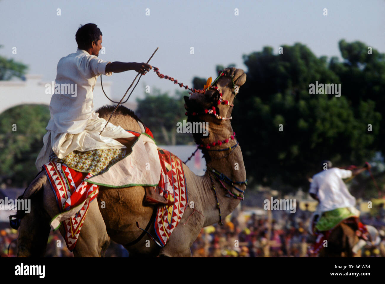 CAMEL RACES at the PUSHKAR CAMEL FAIR RAJASTHAN INDIA Stock Photo - Alamy