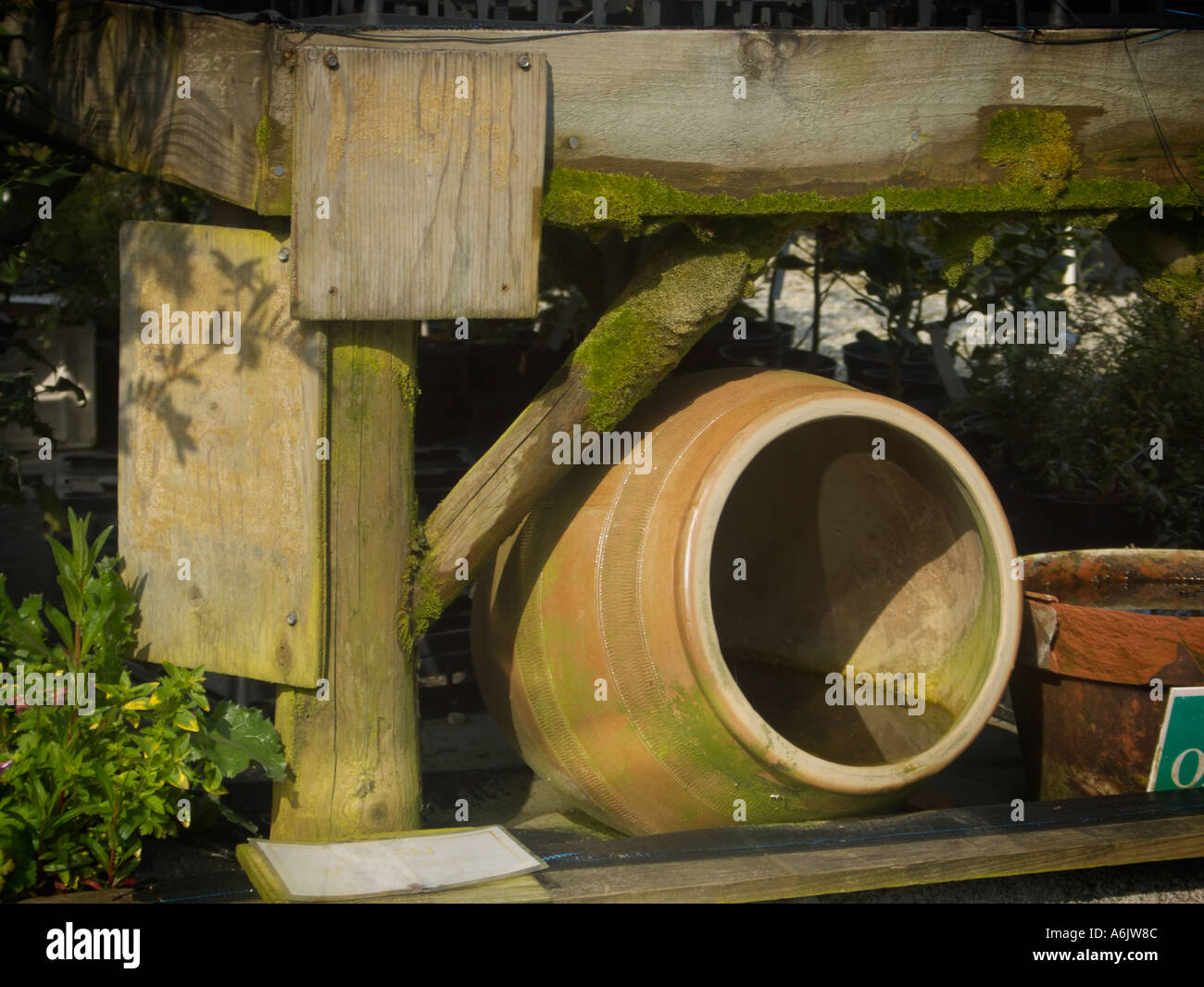 Staging pot hi-res stock photography and images - Alamy