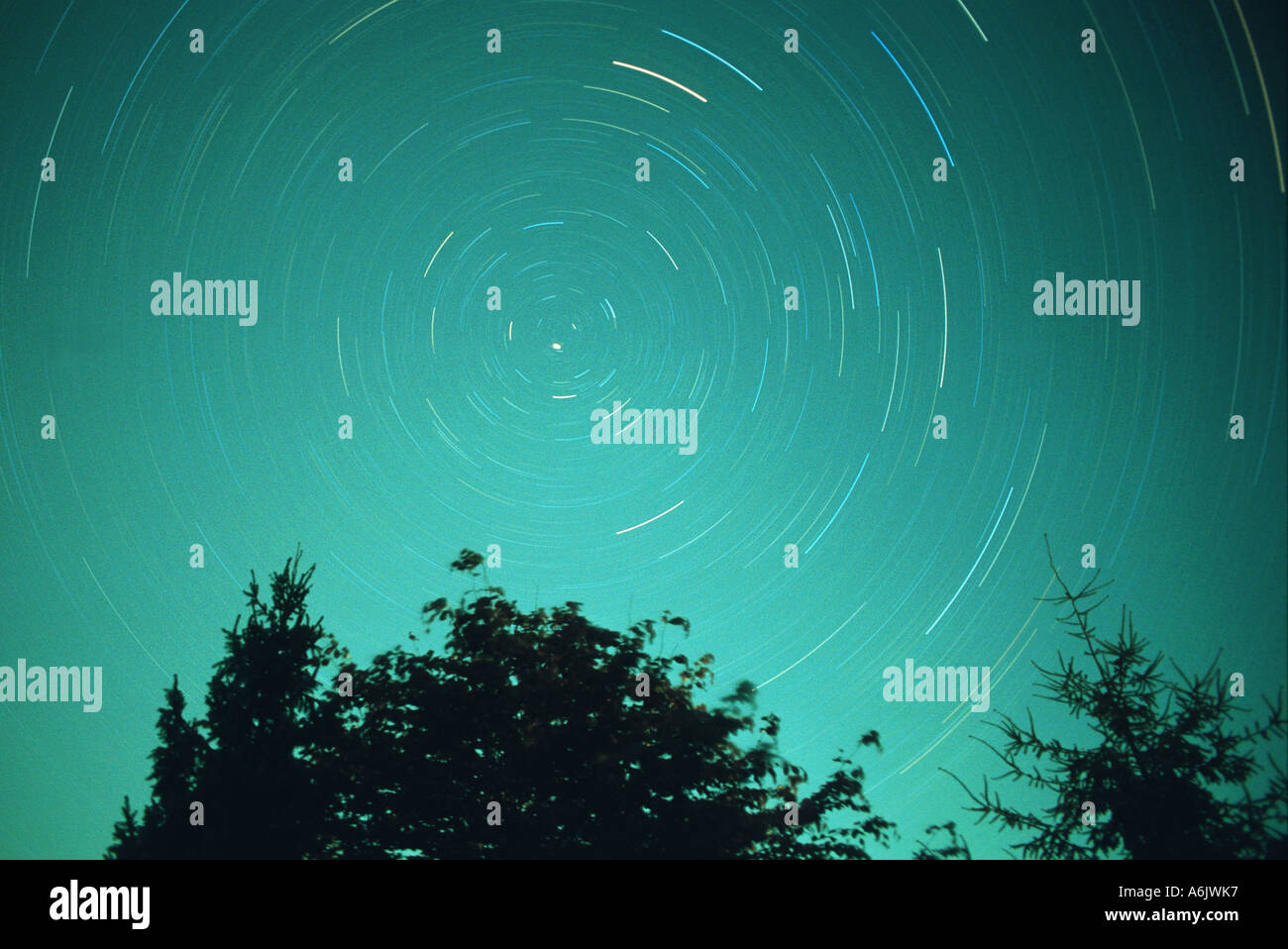 star trails at northern sky, Germany, Baden-Baden Stock Photo - Alamy