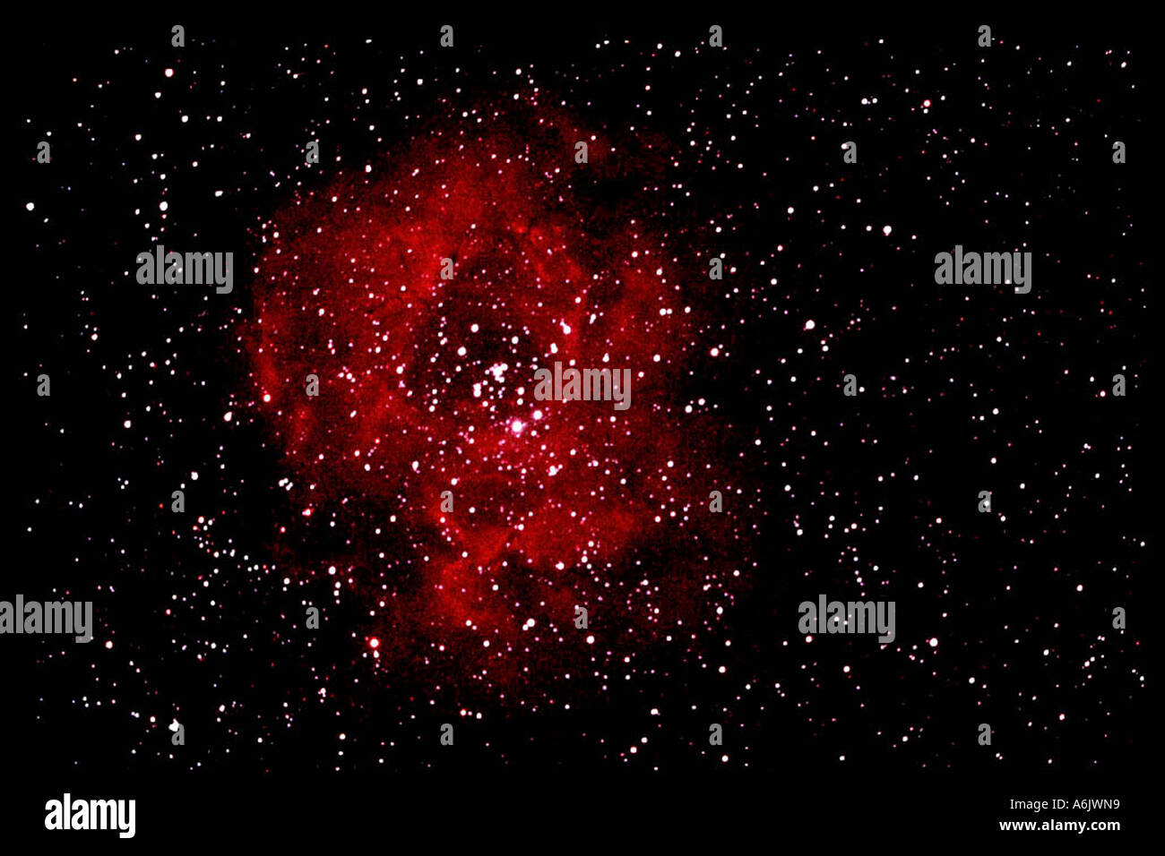 rosette nebula NGC 2237 in Monoceros, diffuse nebula, Germany, Baden-Wuerttemberg, Baden-Baden ...