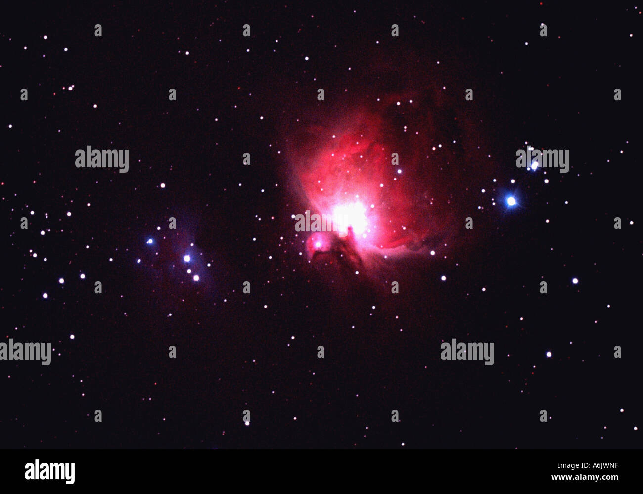 Orion Nebula M 42 (NGC 1976), Germany, Baden-Wuerttemberg Stock Photo ...