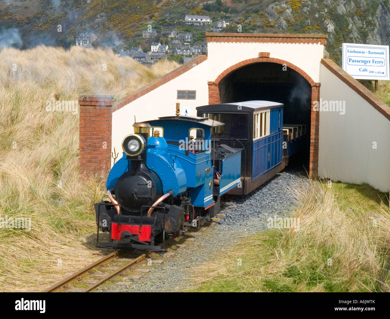 Blue saddle tank steam locomotive emerging from a tunnel on the ...