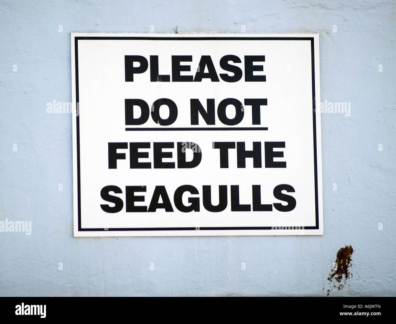 Please do not feed the seagulls sign Stock Photo - Alamy