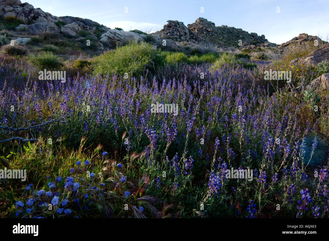 Upper elevations hi-res stock photography and images - Alamy
