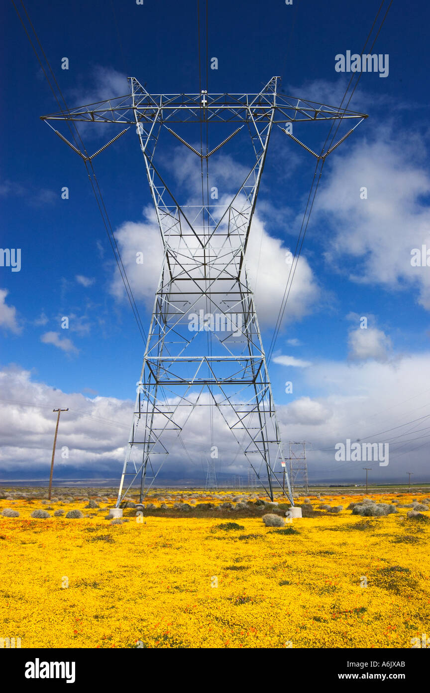 California utility poles and power lines hi-res stock photography and ...
