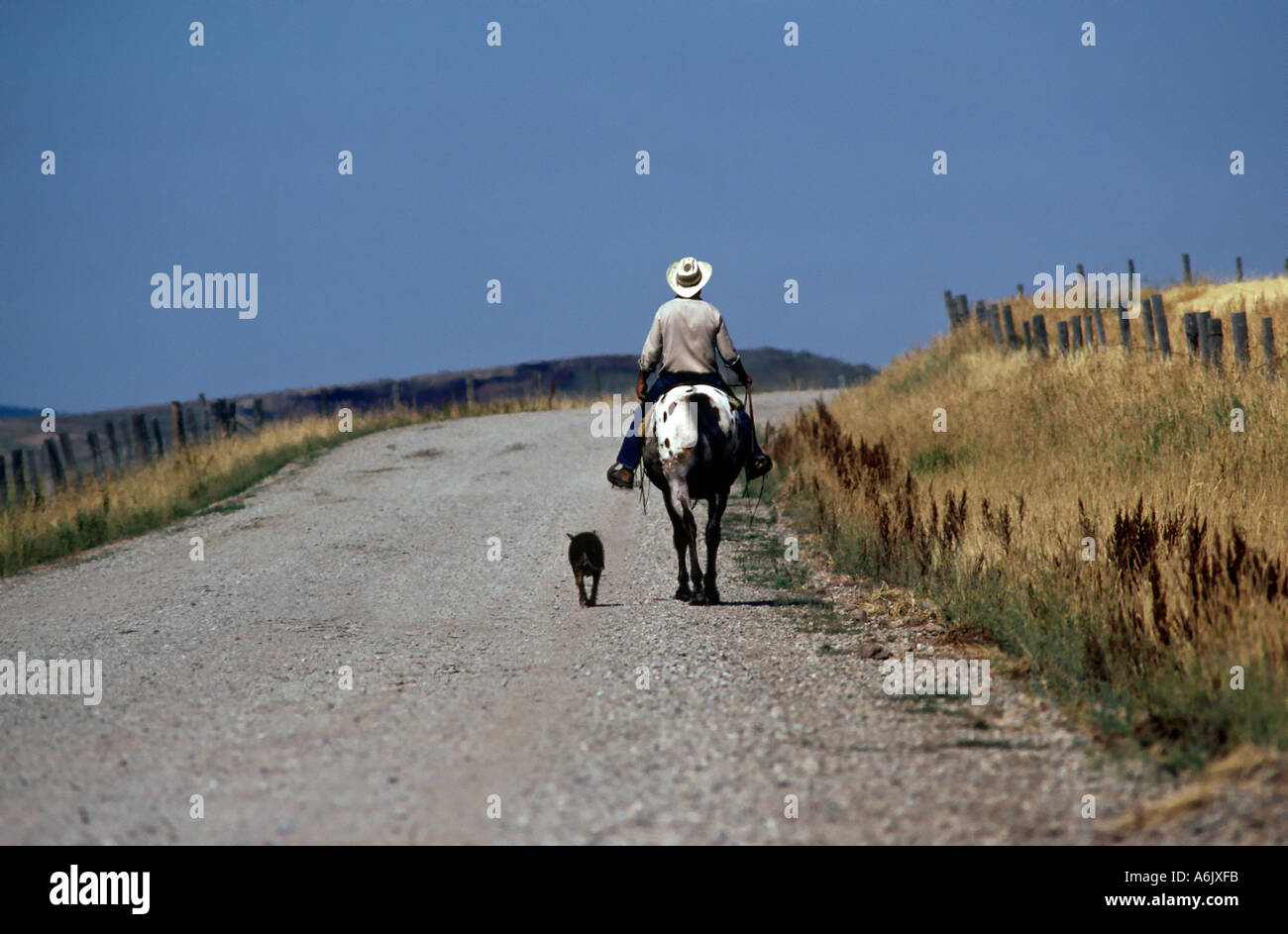 COWBOY riding his HORSE down the road with his DOG by his side WYOMING ...