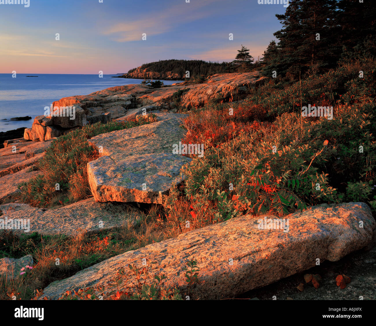 Acadia National Park ME Morning light on granite boulders and berry ...