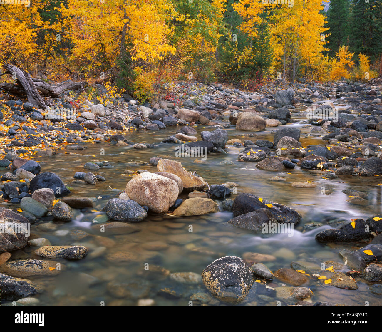 Methow river fishing hi-res stock photography and images - Alamy