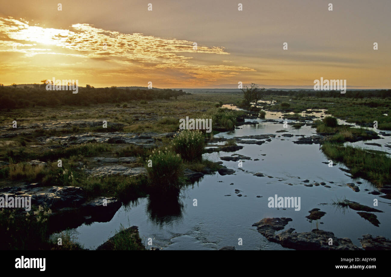 River scenery of the Olifants River at sunrise, Mpumalanga Stock Photo ...