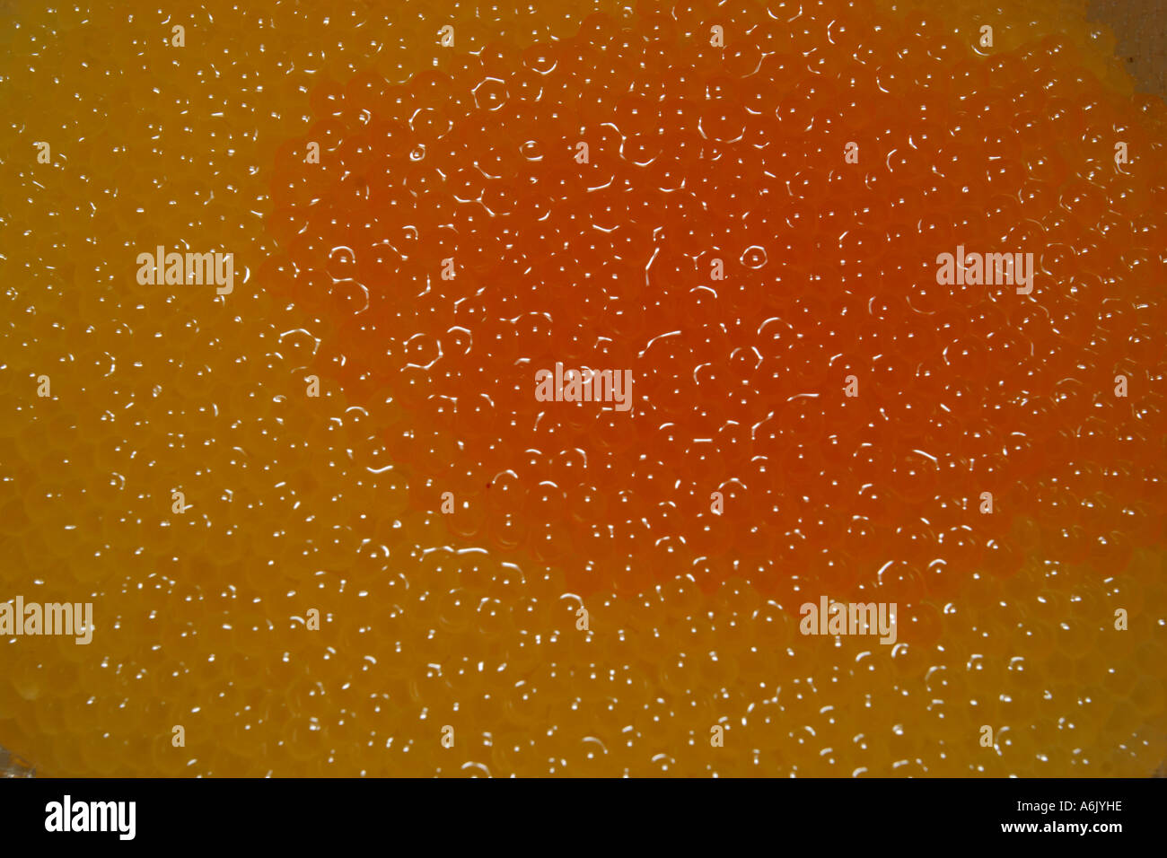 Fish spat hi-res stock photography and images - Alamy