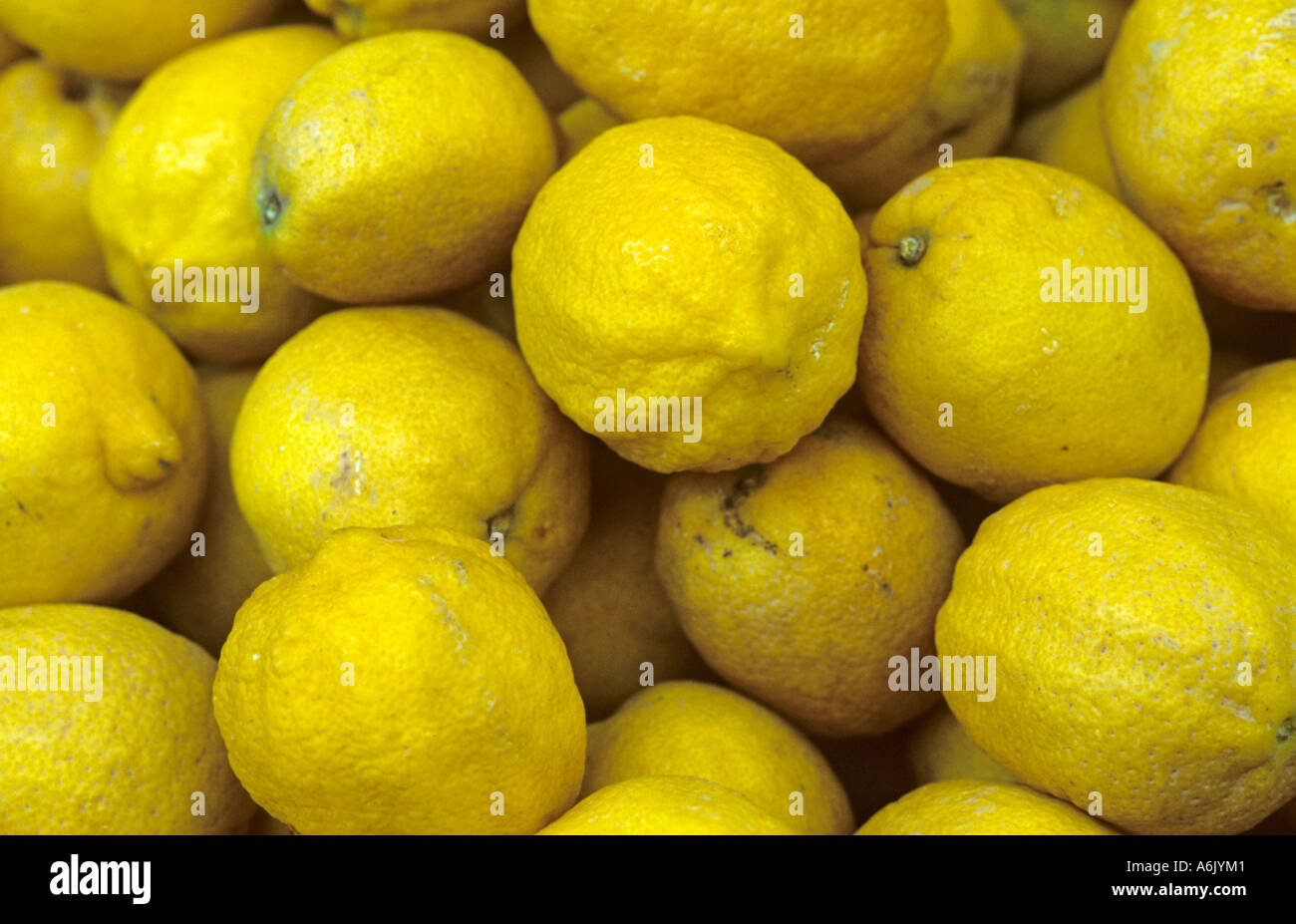 lemon (Citrus limon), fruits, Spain, Sineu Stock Photo - Alamy