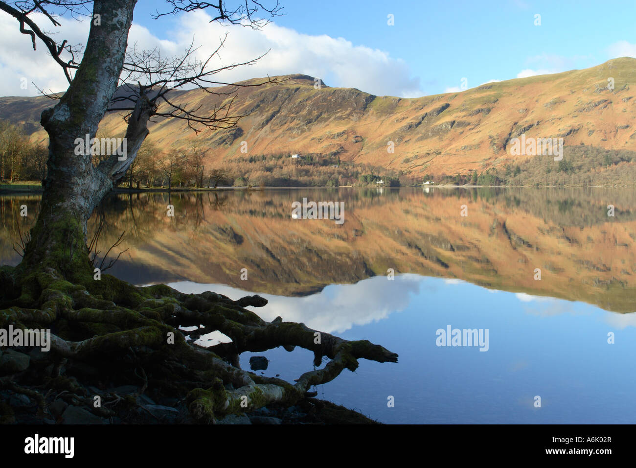 Barrow moor hi-res stock photography and images - Alamy