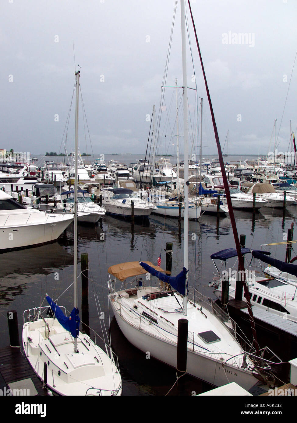 Sailboats yachts and cabin cruisers lined up at a Marina in Dunedin ...
