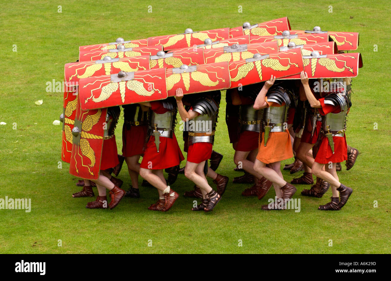 Roman tortoise hi-res stock photography and images - Alamy