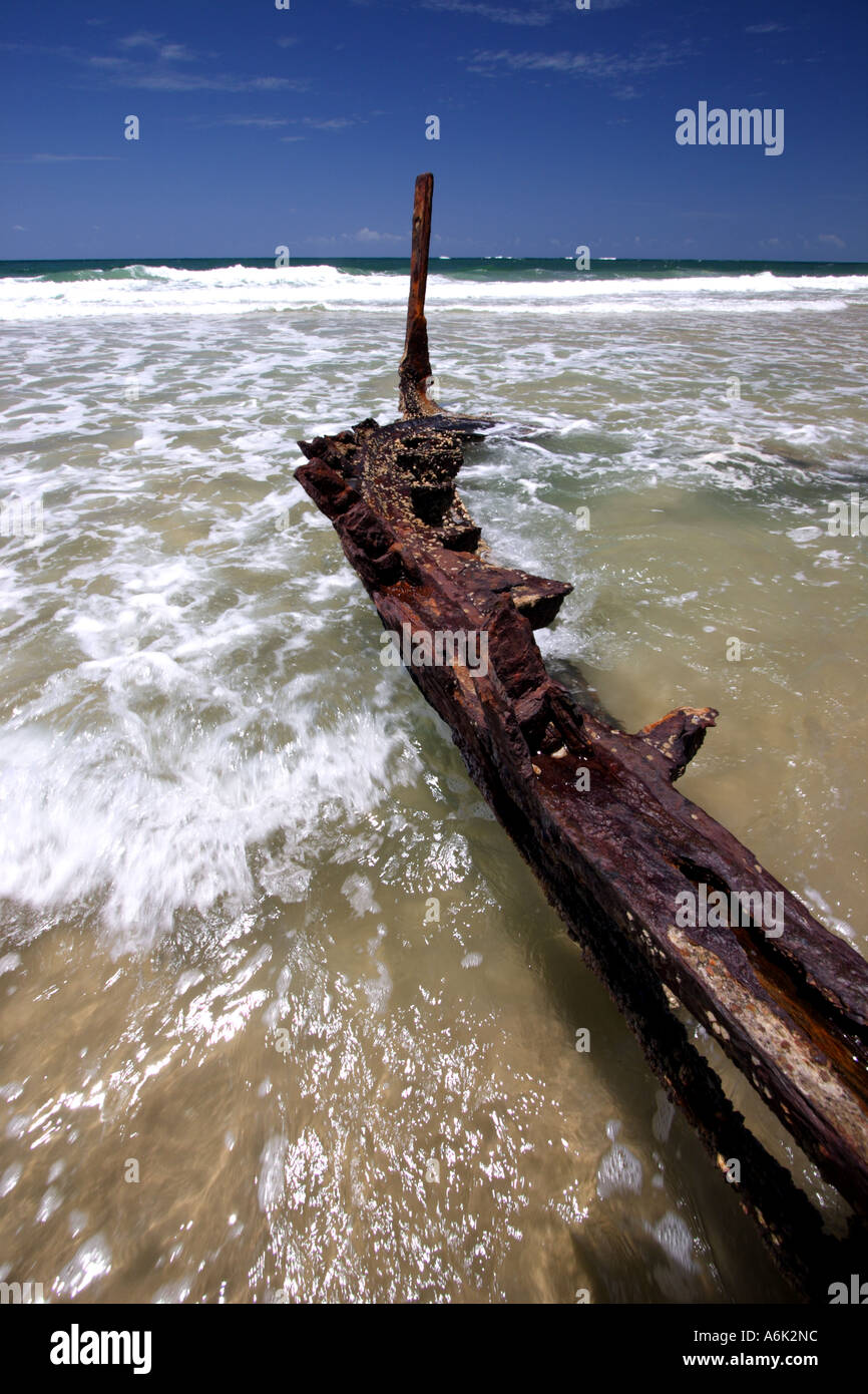 WRECK OF THE SS DICKY SUNSHINE COAST QUEENSLAND AUSTRALIA VERTICAL ...