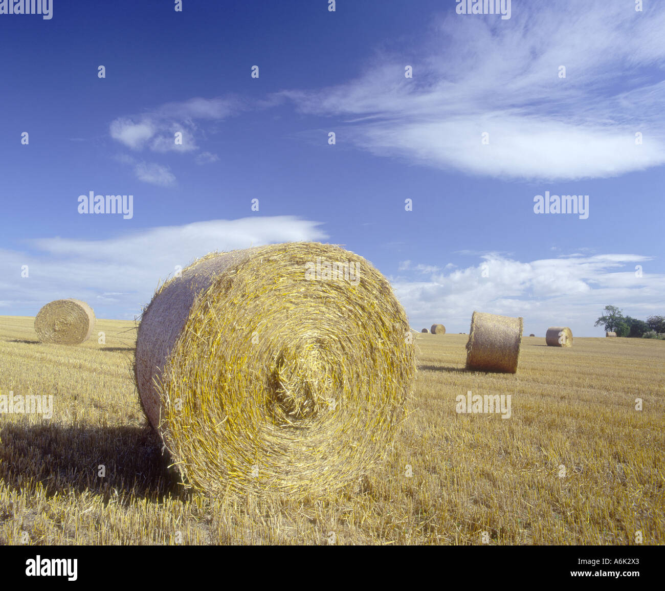 Harvest Straw Bales Stock Photo - Alamy