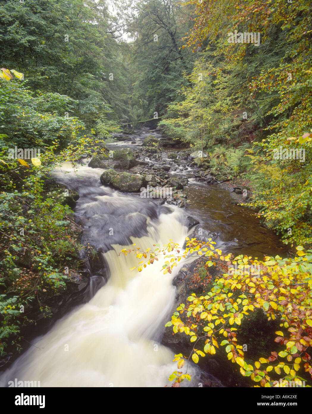 The Birks Of Aberfeldy Stock Photo - Alamy
