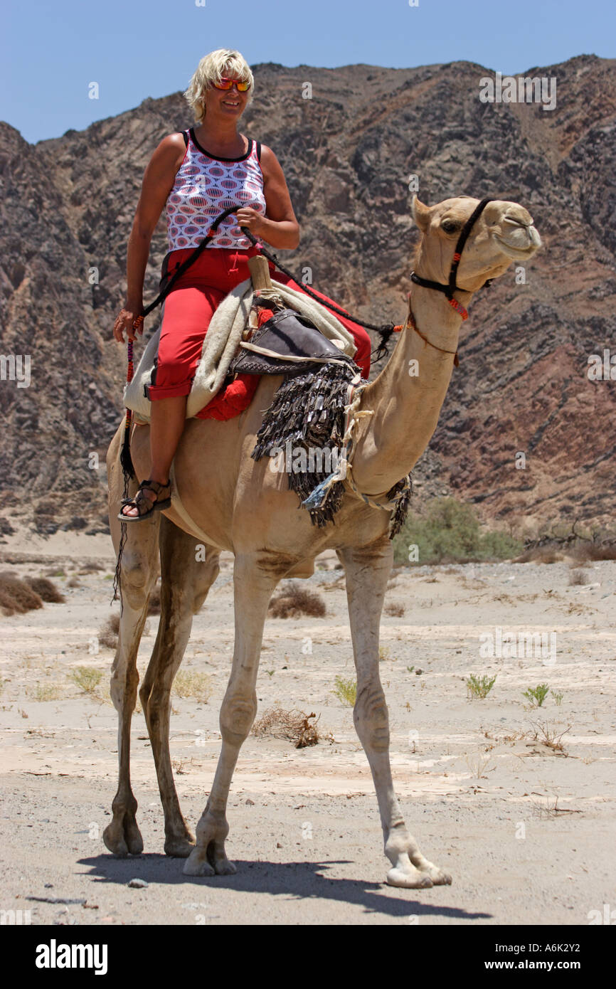 women riding a camel Camelus dromedarius Stock Photo - Alamy