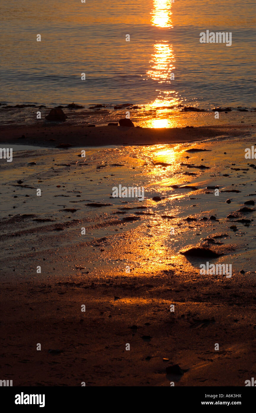 Sunrise and sand at Lyme Regis Stock Photo - Alamy
