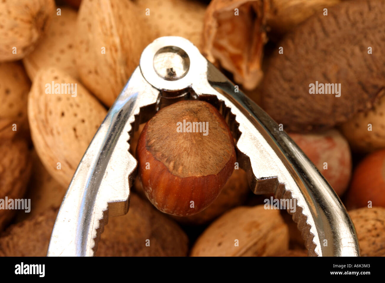 BOWL OF MIXED NUTS HORIZONTAL BAPDB5710 Stock Photo - Alamy