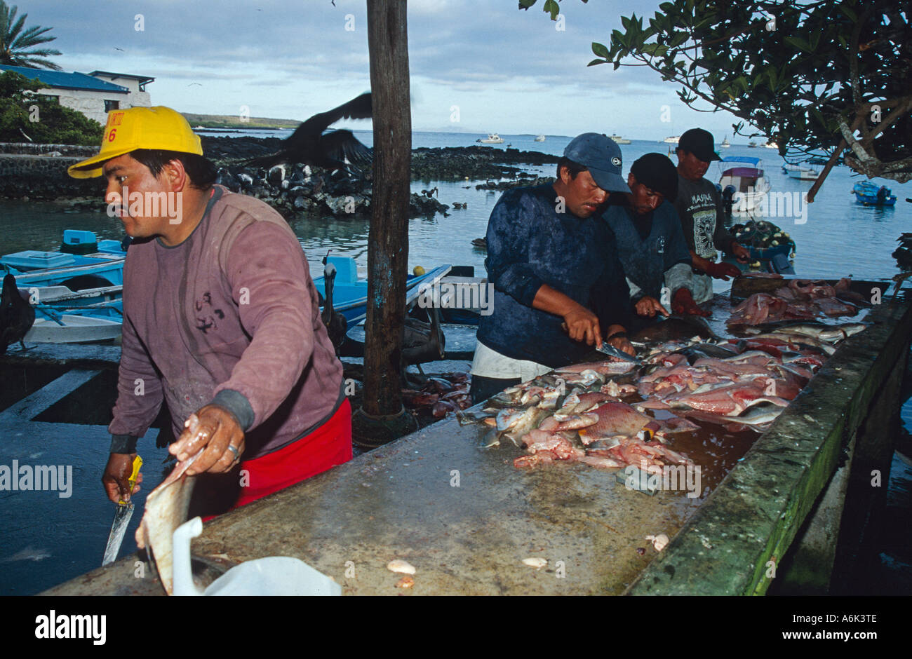 fishmarket at the beach Stock Photo - Alamy