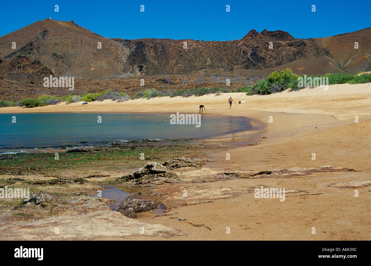 beach on an isolated island Stock Photo - Alamy