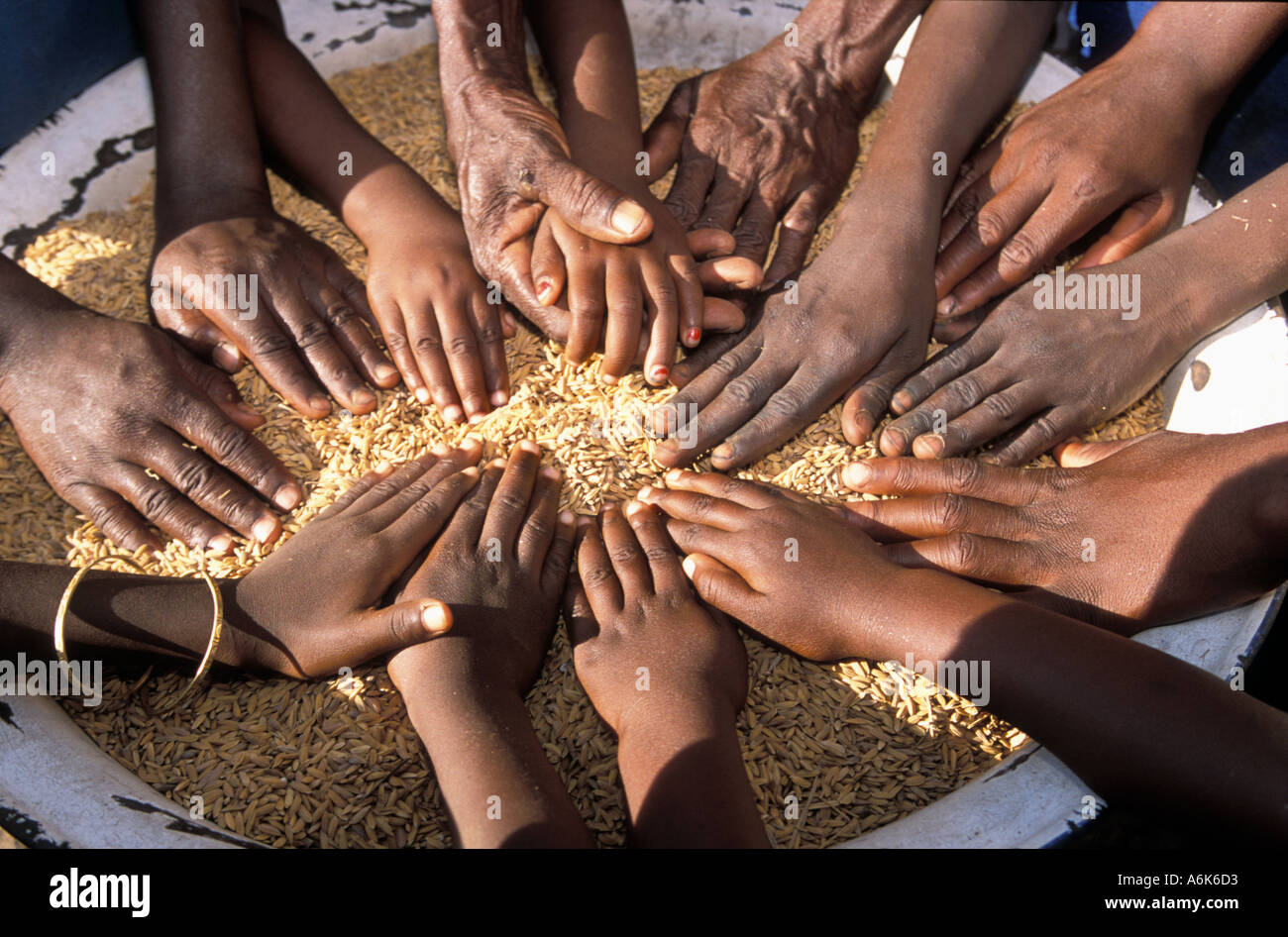 Imported rice hi-res stock photography and images - Alamy