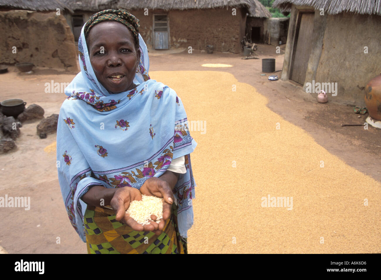 Victim of World Trade an impoverished woman rice farmer victim of ...