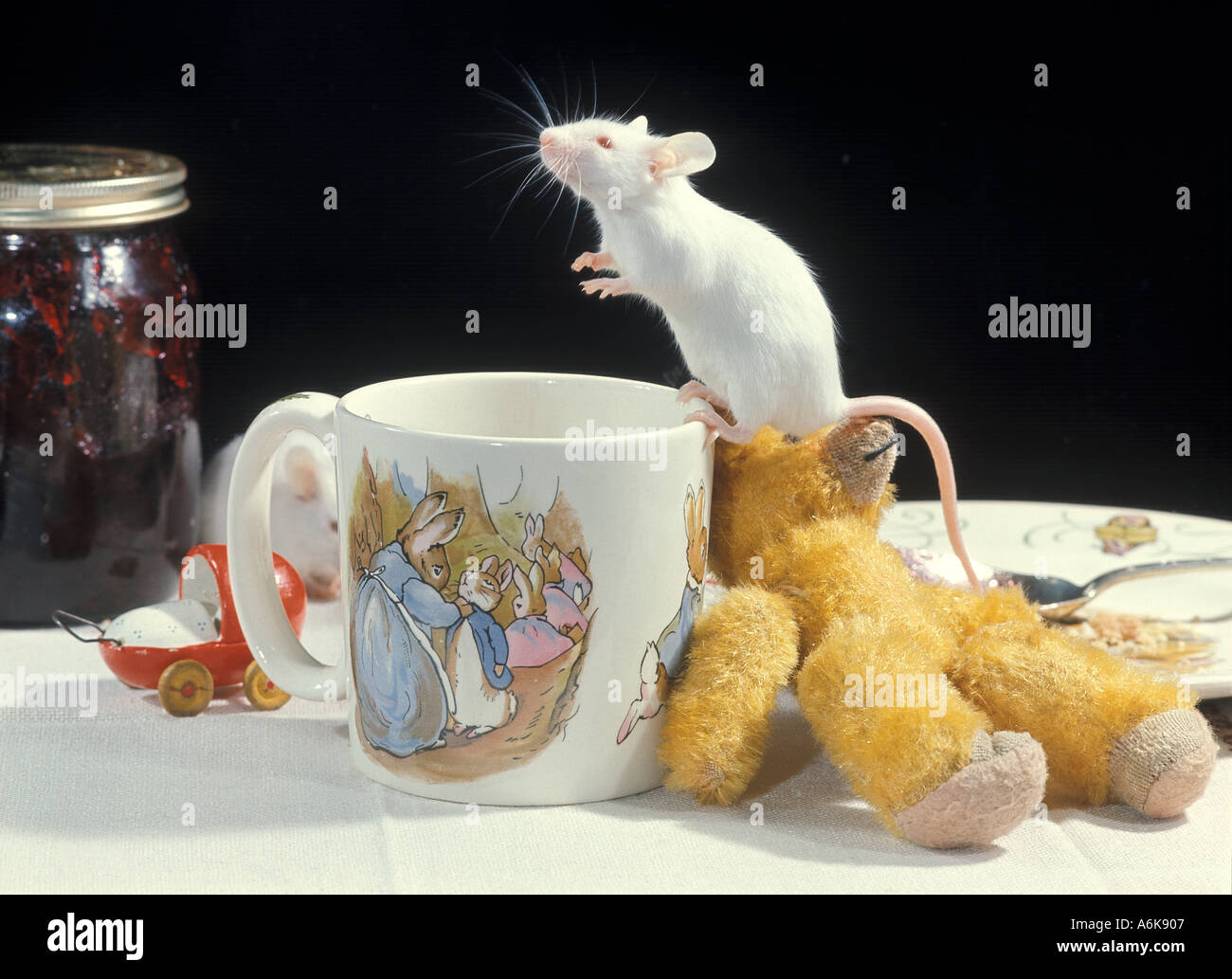 Albino mice hi-res stock photography and images - Alamy