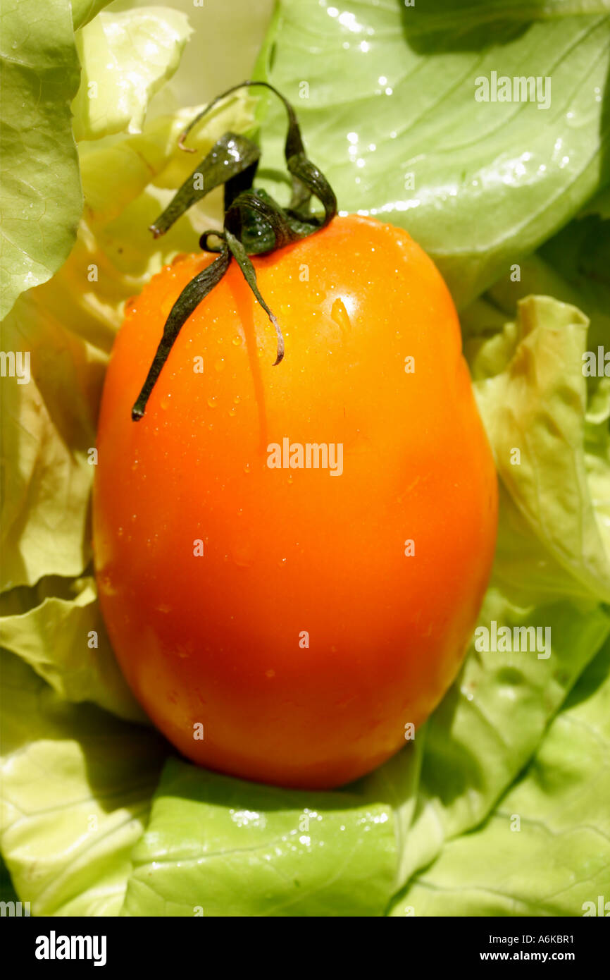 Roma tomatoe hi-res stock photography and images - Alamy
