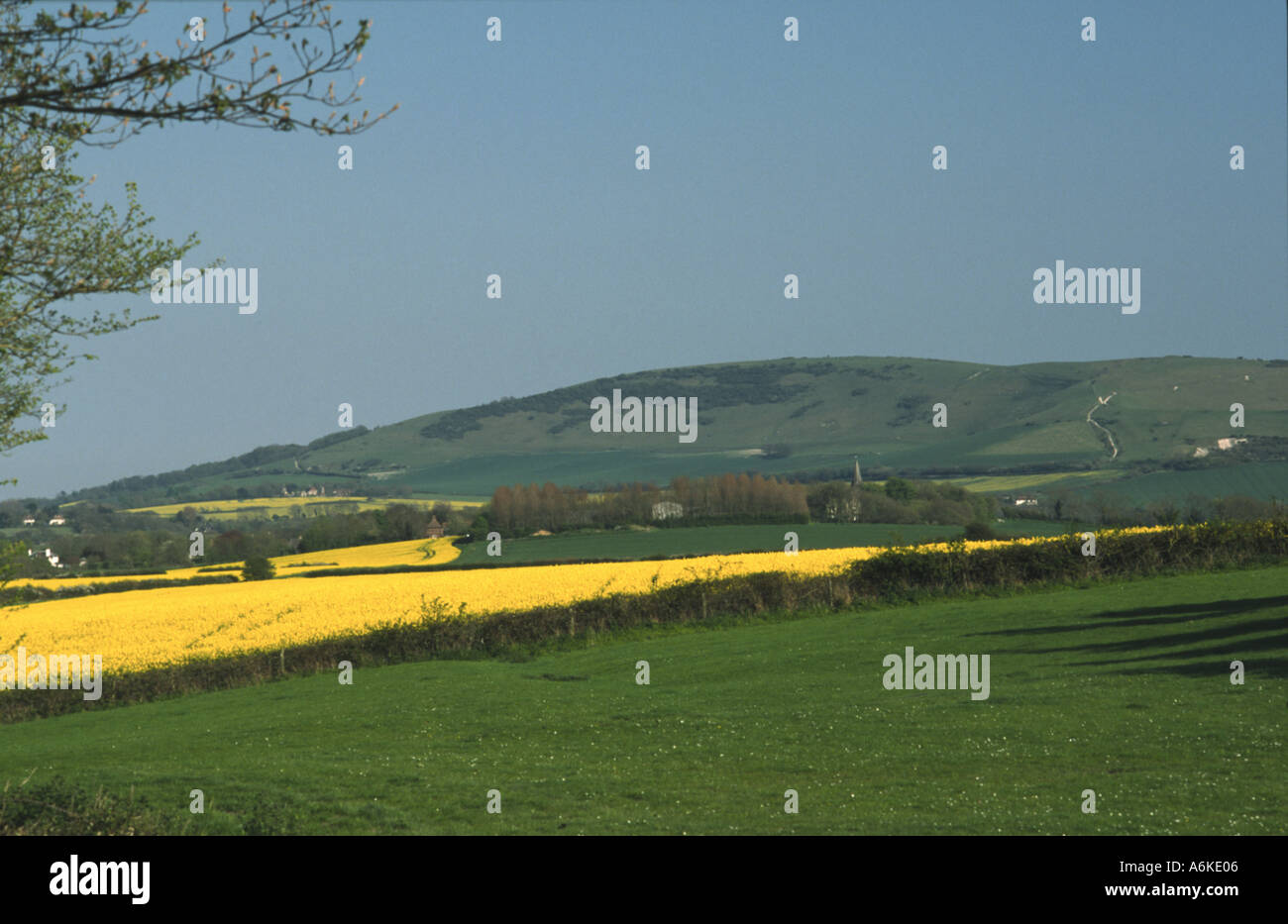 The Southdowns and Berwick Church viewed from Alciston East Sussex ...
