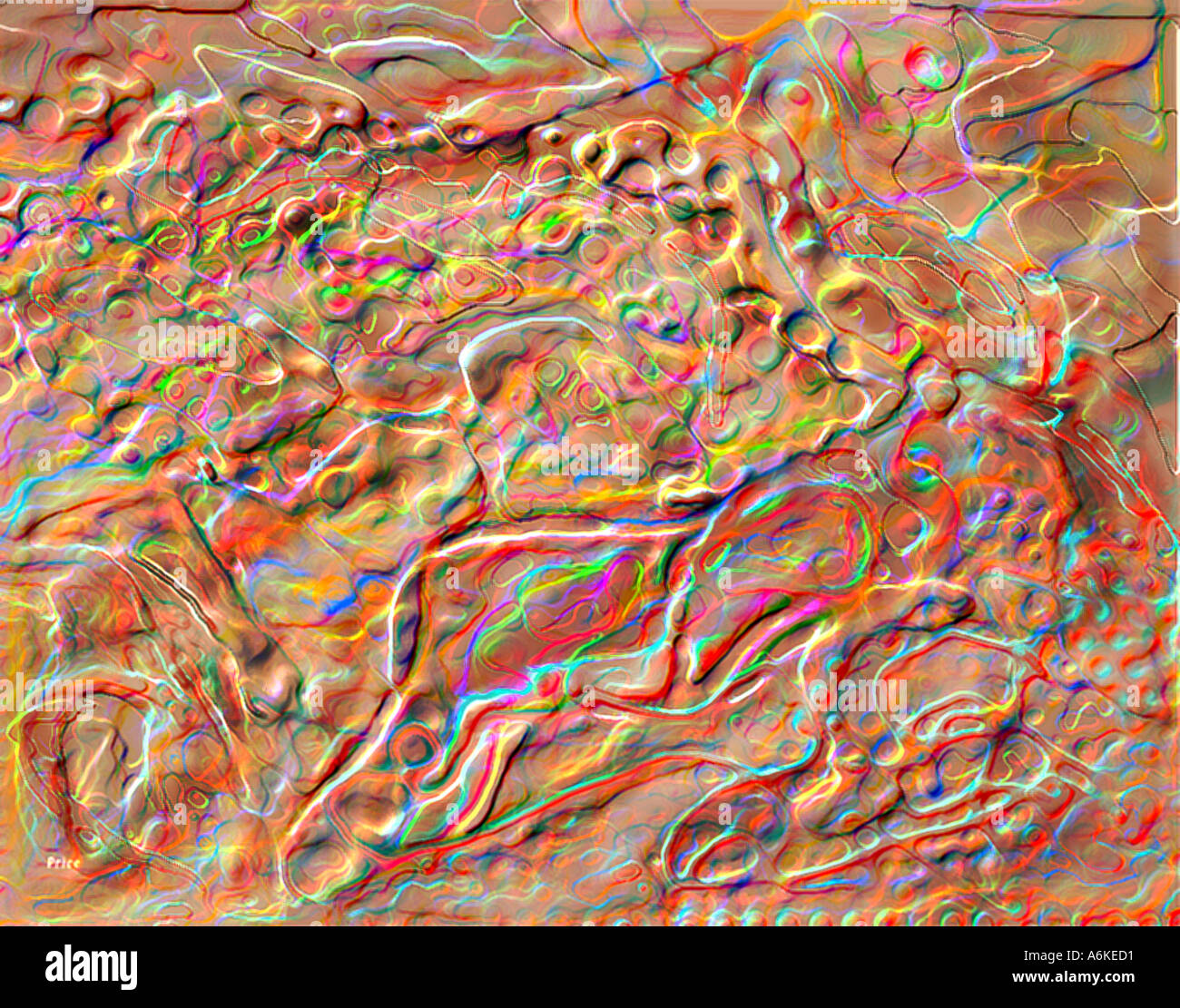 Paleolithic remains hi-res stock photography and images - Alamy