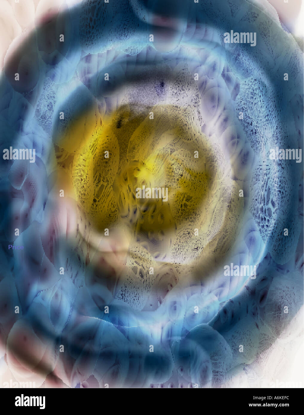 DREAM TARGET is original digital art that expresses mystery of life ...