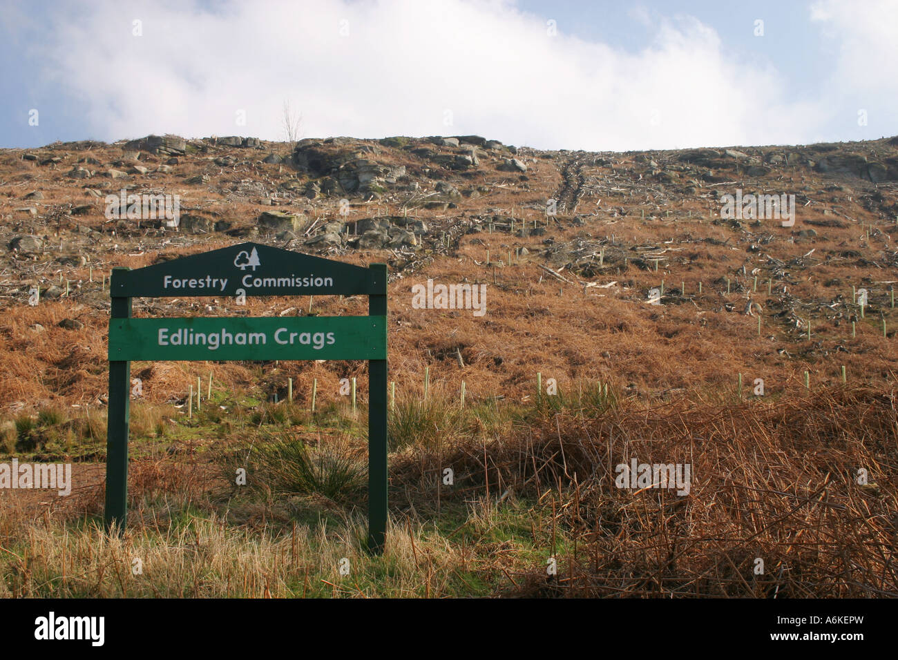 Edlingham Crags information sign near Alnwick Northumberland United ...