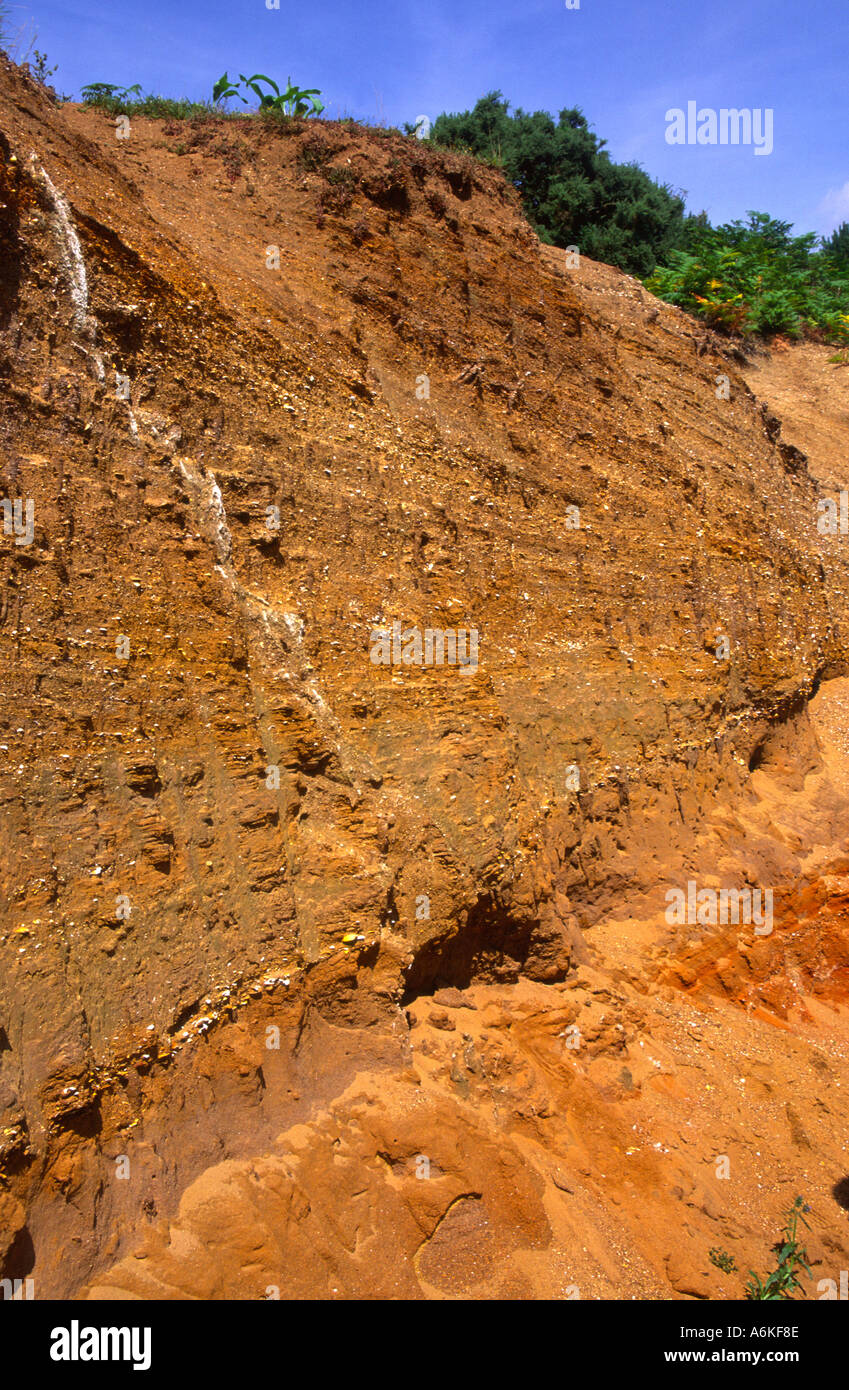 Marine sand deposits Butley Suffolk England Stock Photo - Alamy