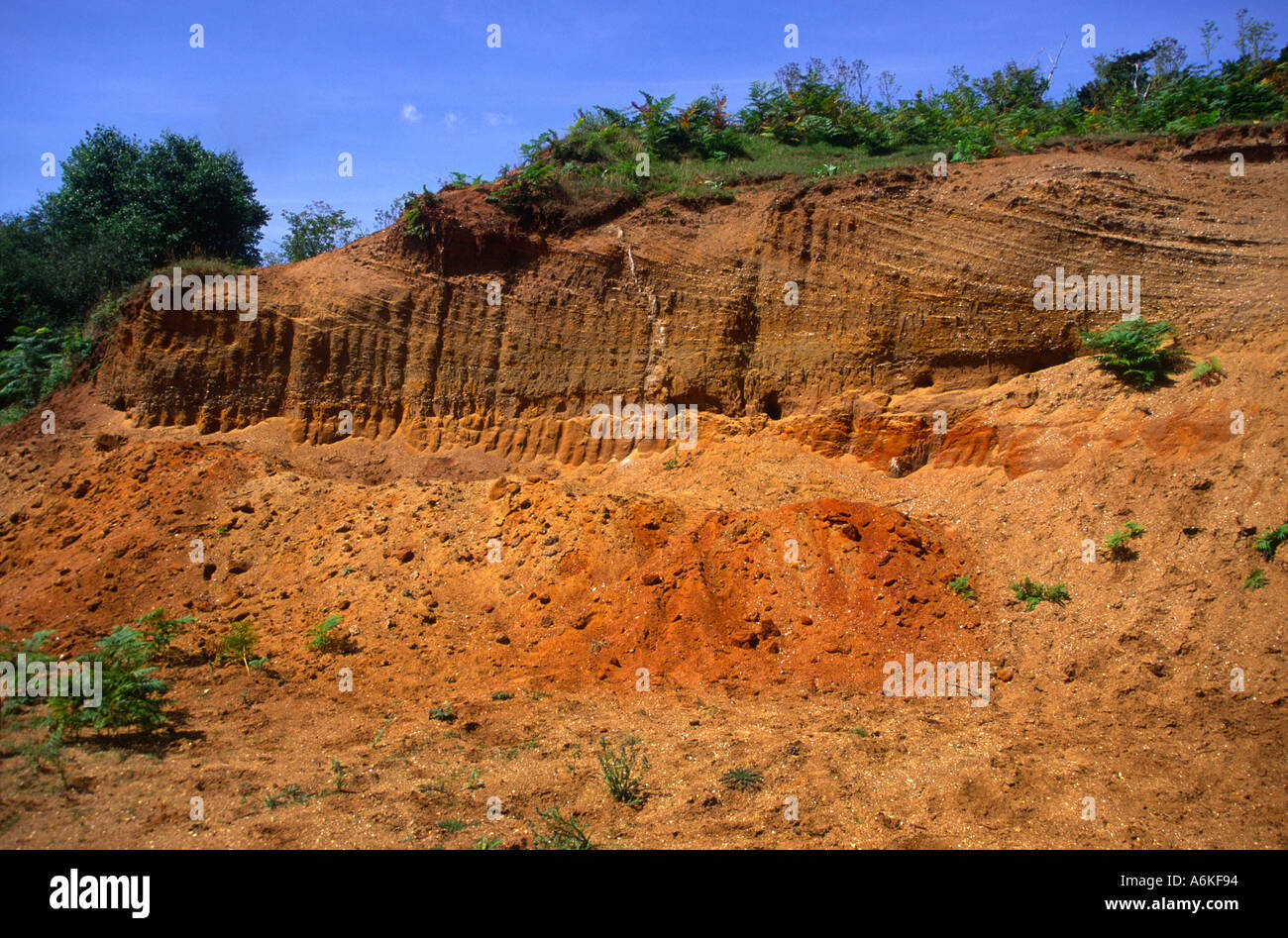 Marine sand deposits Butley Suffolk England Stock Photo - Alamy