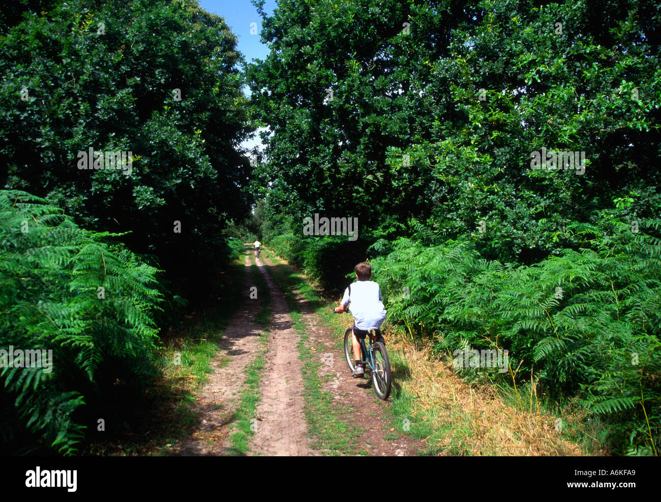 Child cycling on country track Suffolk England Stock Photo - Alamy