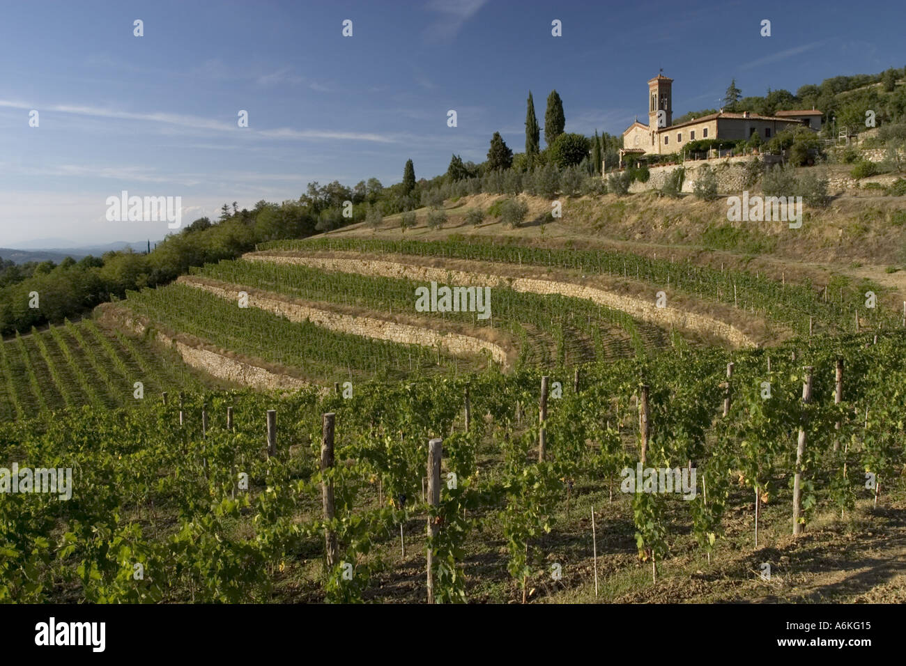 Good vines hi-res stock photography and images - Alamy