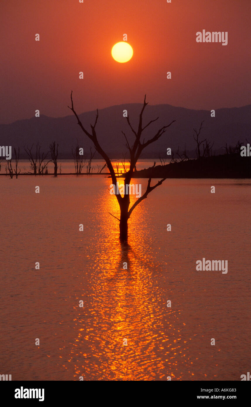 Sunset at LAKE KARIBA silhouettes trees which were flooded over 40 ...