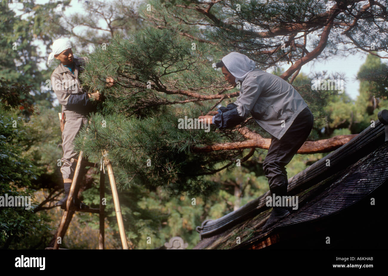Japanese zen gardener hi-res stock photography and images - Alamy