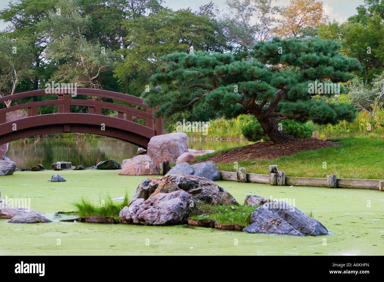 Japanese Garden Pond Stock Photo - Alamy