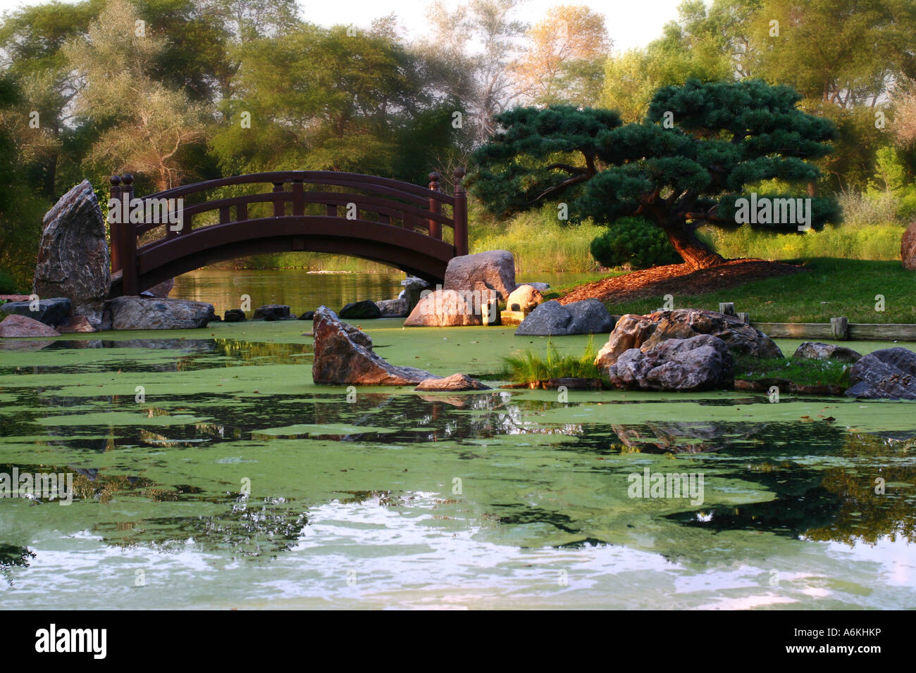 Japanese Garden Pond Stock Photo - Alamy