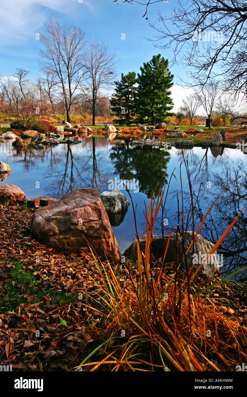 Ormanental pond hi-res stock photography and images - Alamy
