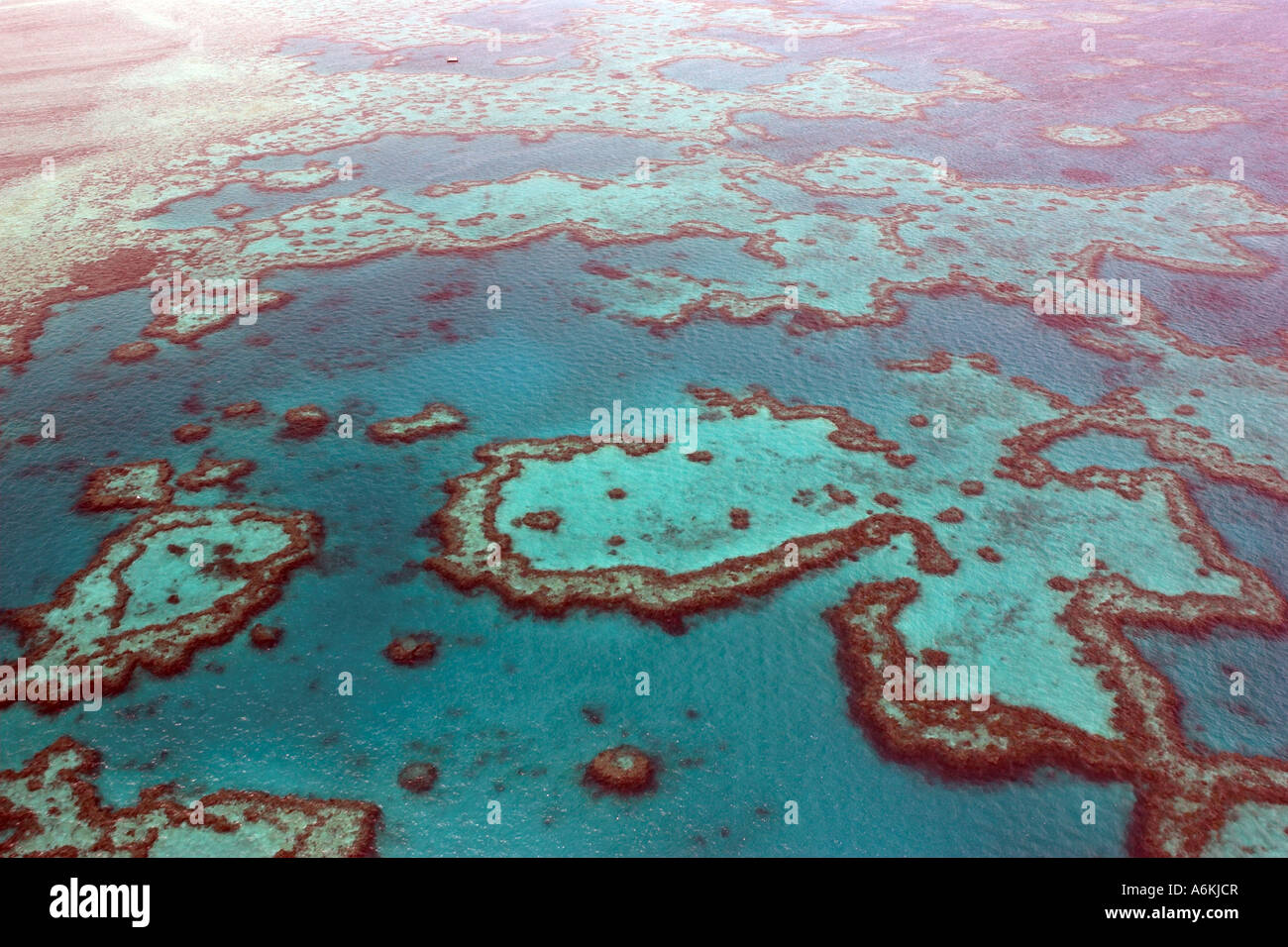 Great Barrier Reef Australia Stock Photo - Alamy